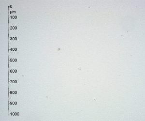 CARDEV SDFC Filter Element - ETL Fluid Experts Ltd