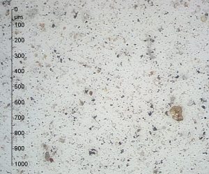CARDEV SDFC Filter Element - ETL Fluid Experts Ltd